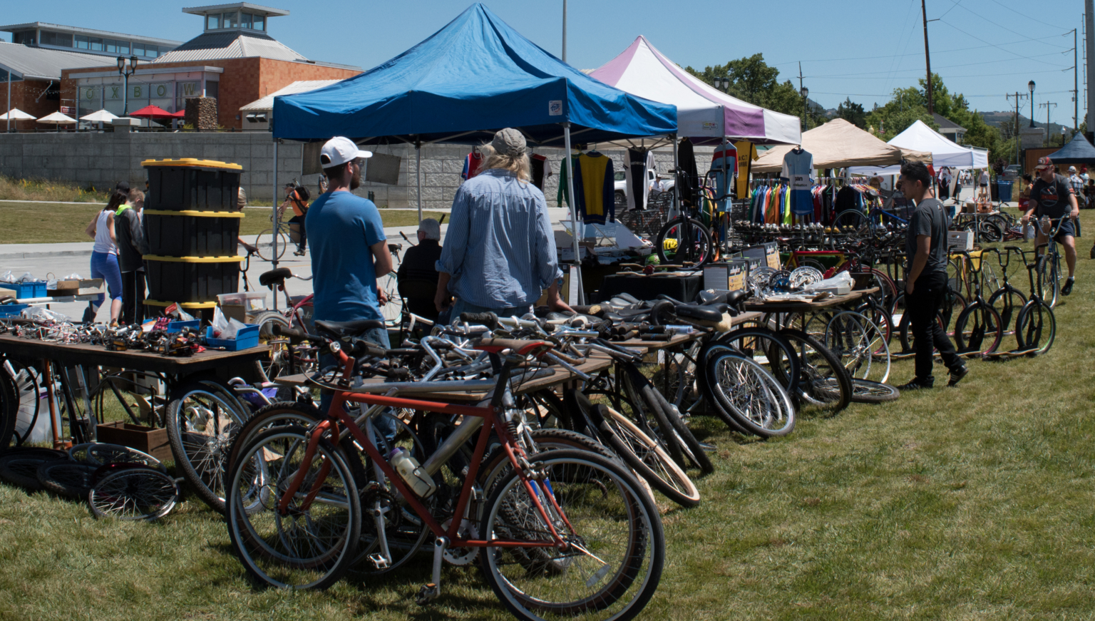 Bike Swap - Napa County Bicycle Coalition